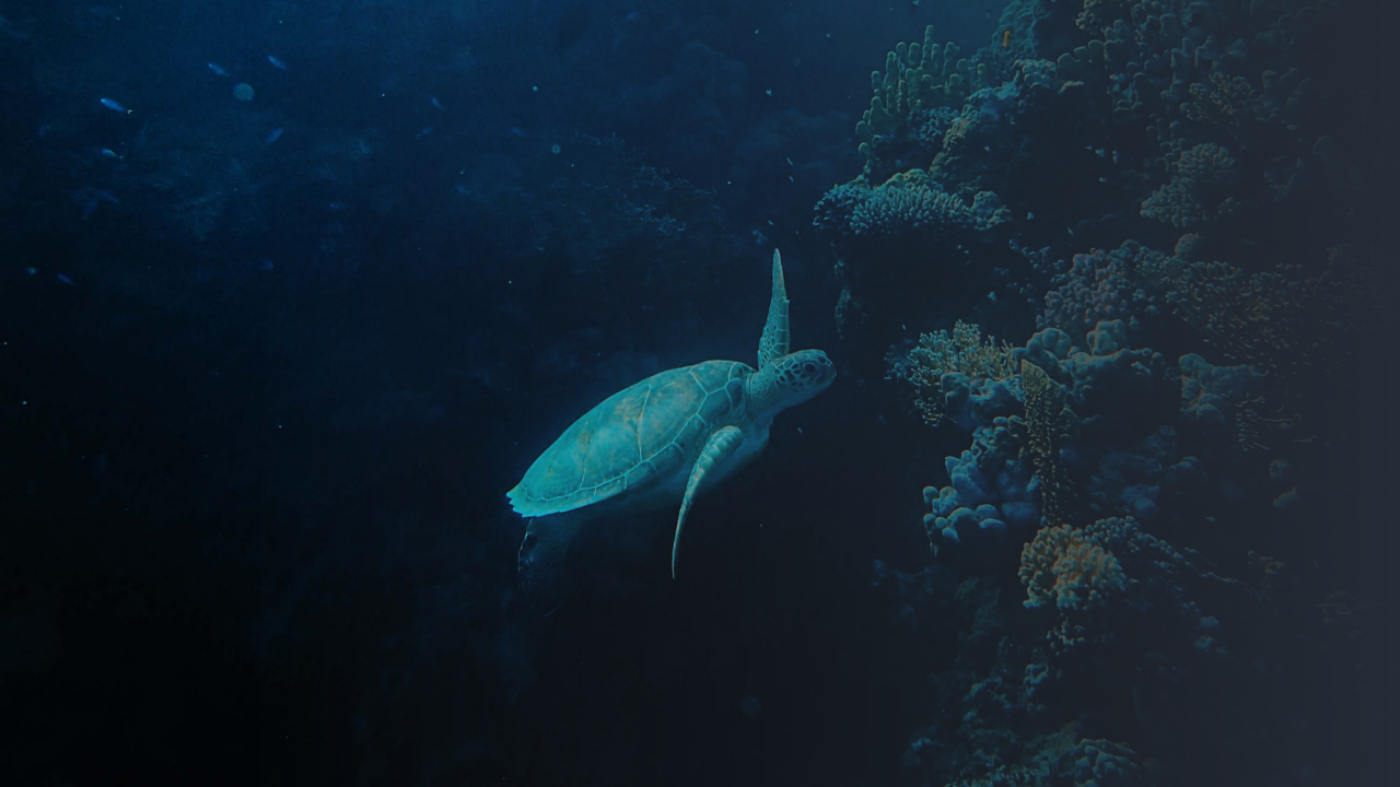 Kits – NatureMetrics