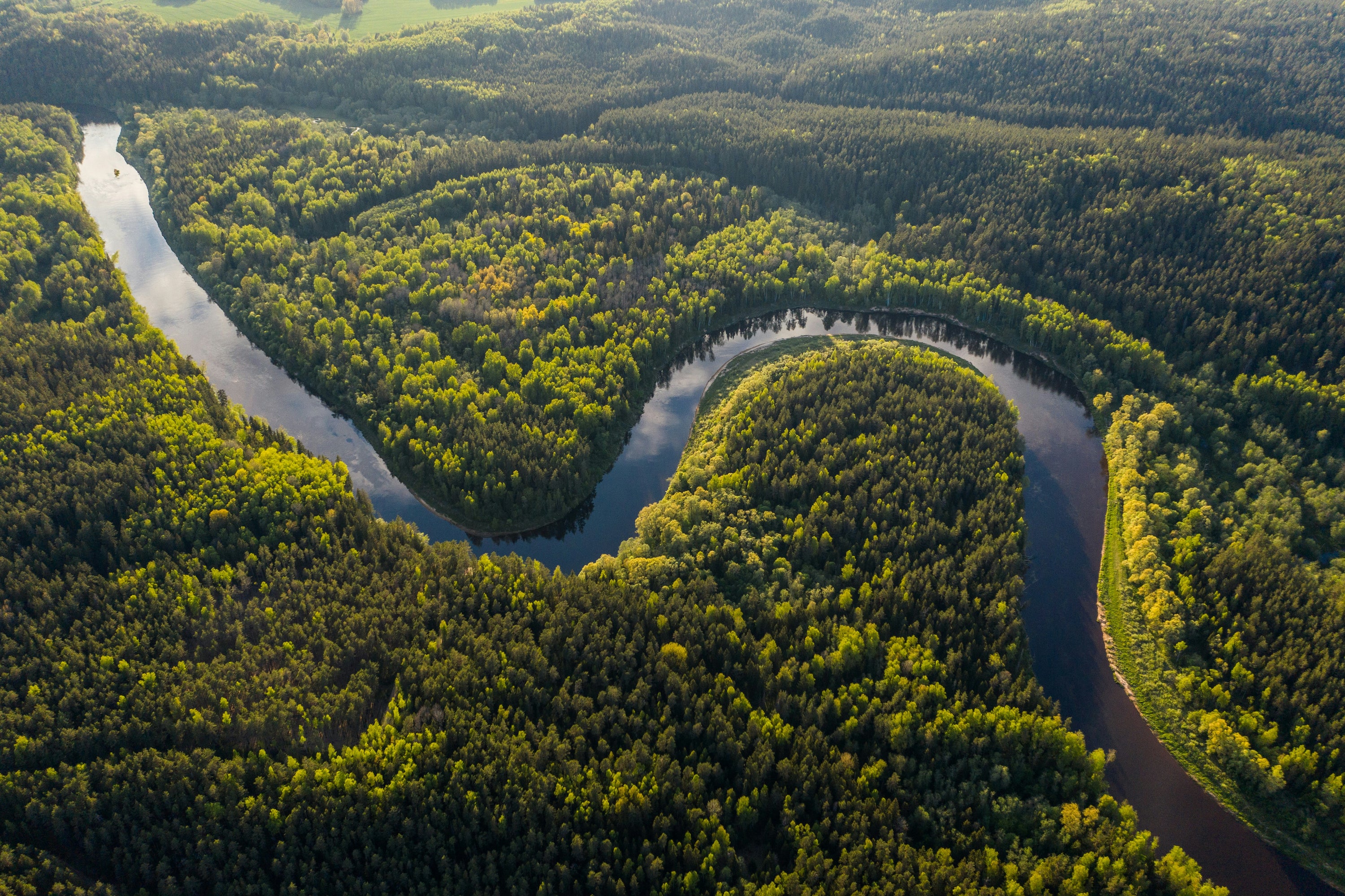 NatureMetrics